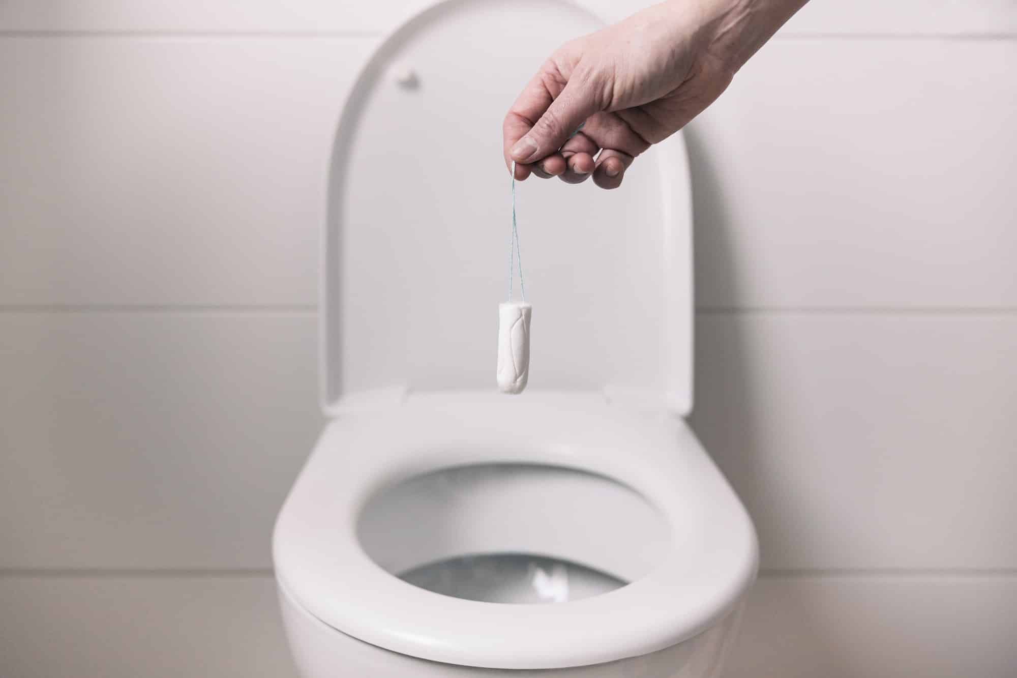 Comment fonctionnent les toilettes sèches écologiques Comment fonctionnent les toilettes sèches écologiques